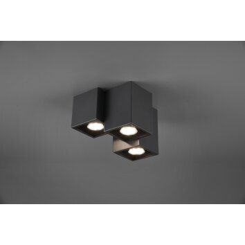 Trio FERNANDO Ceiling Light white 604900331 | illumination.co.uk