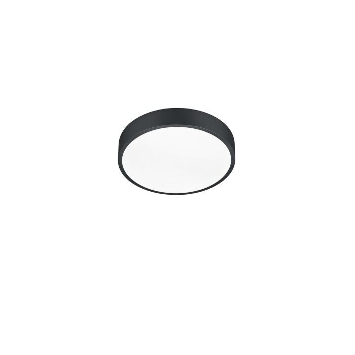 Trio Waco Ceiling Light LED 627413032 | illumination.co.uk