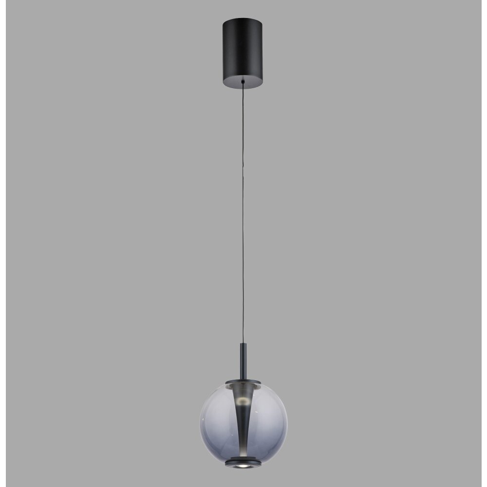 Paul Neuhaus lights Infinity pendant light LED grey, 1-light source ...